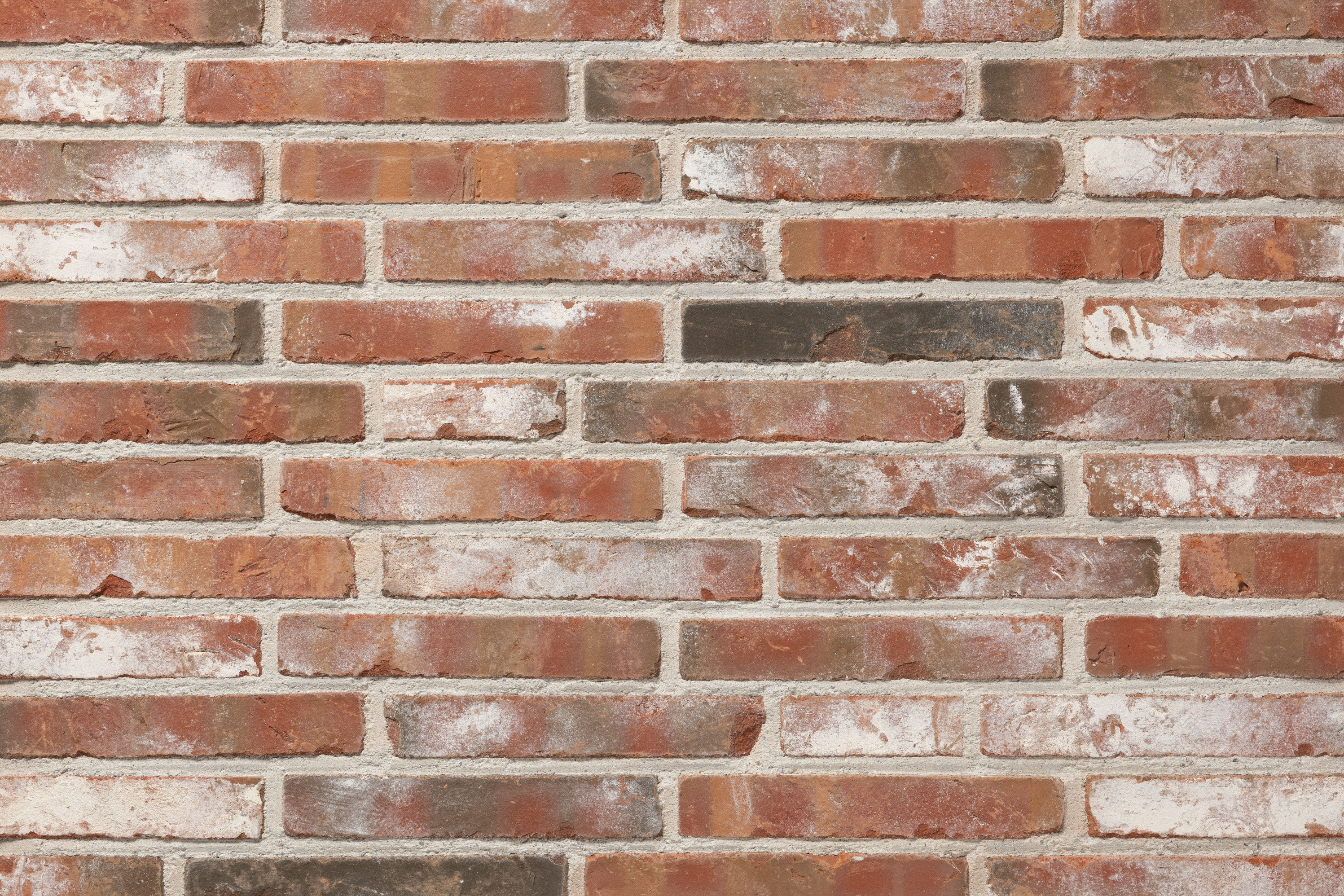 Strangpress-Klinker BK-107-223-ModF (Modulformat-Klinkerstein (ModF)) rot beige bunt